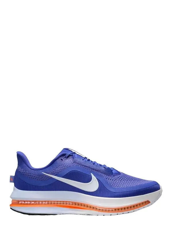 Nike Pegasus Premium - Blue
