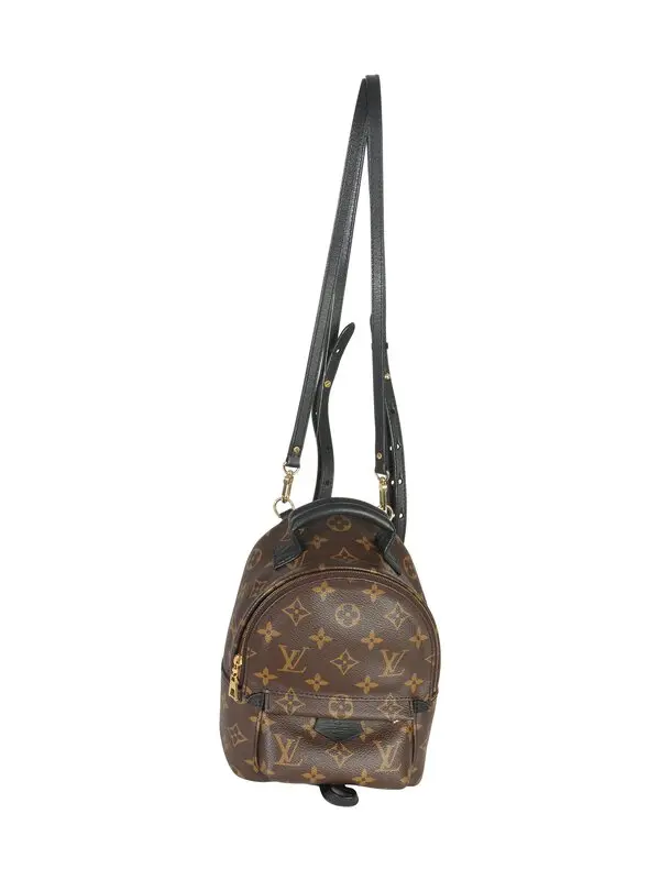 LOUIS VUITTON Monogram Canvas Palm Springs - Brown