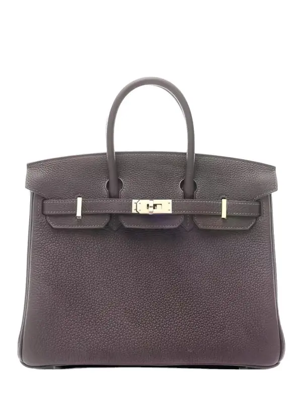 Hermès 2025 Birkin 25 Handbag - Brown