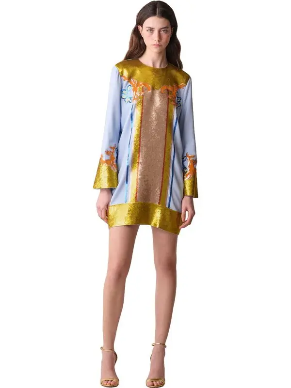 PAULA Hydra A-line Embroidered Mini Dress - Multicolour