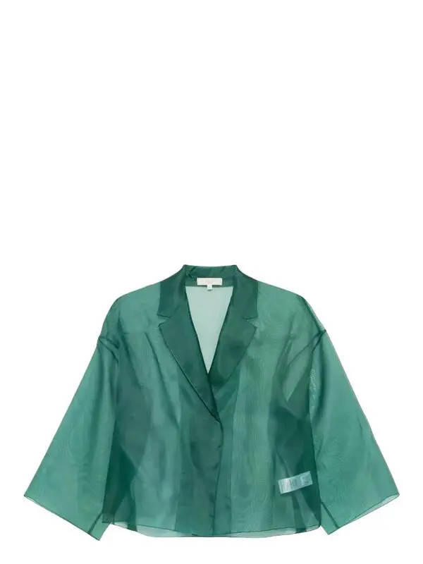 Antonelli Firenze Oversized V-neck Jacket - Green