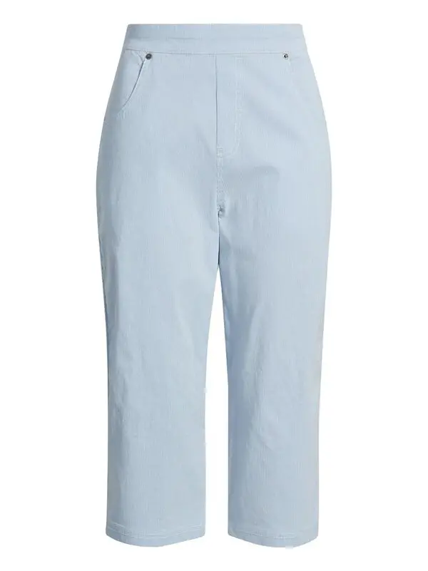 Hue Spring Stripe Capri Pants - Blue