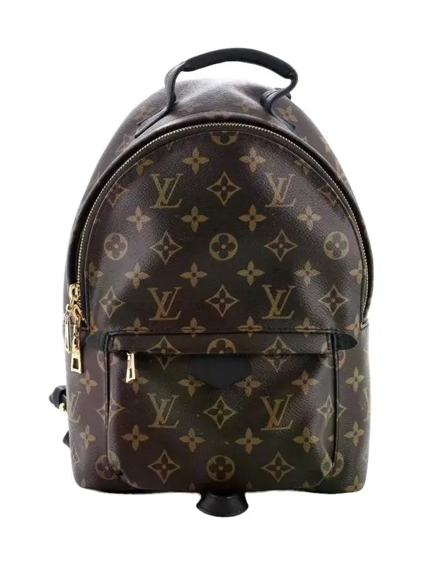 LOUIS VUITTON Palm Springs Monogram Canvas Pm Backpack - Brown