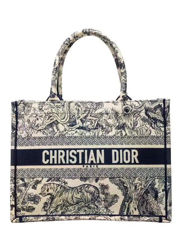 Dior 2022 Medium Dioriviera Toile De Jouy Book Tote Bag - Blue