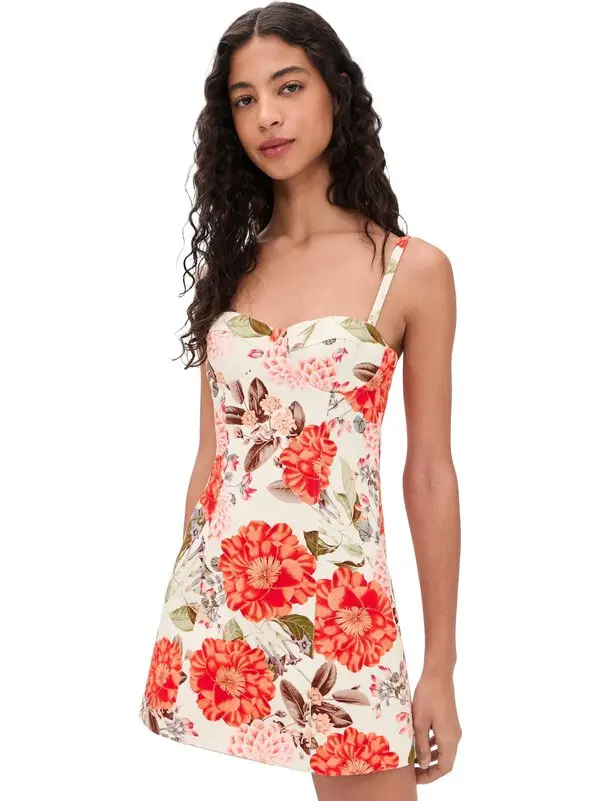Cara Cara Claudine Mini Dress - Blossoms Egret