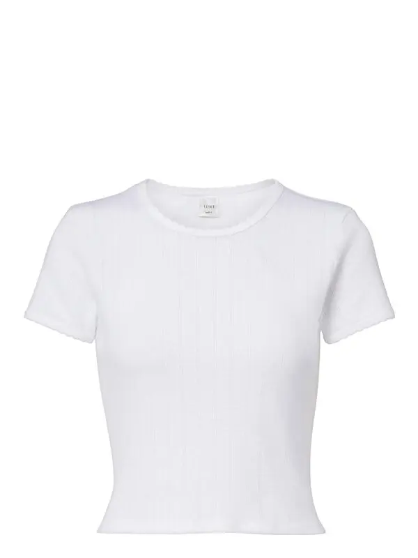 LESET Pointelle Cotton Crop Top - White