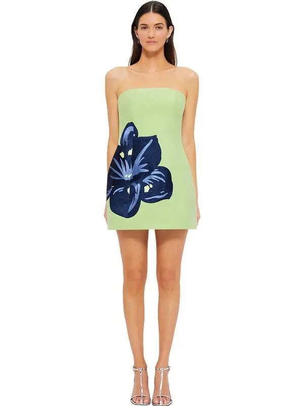 LEO LIN Roselle Embroidered Bustier Mini Dress - Hibiscus In Matcha