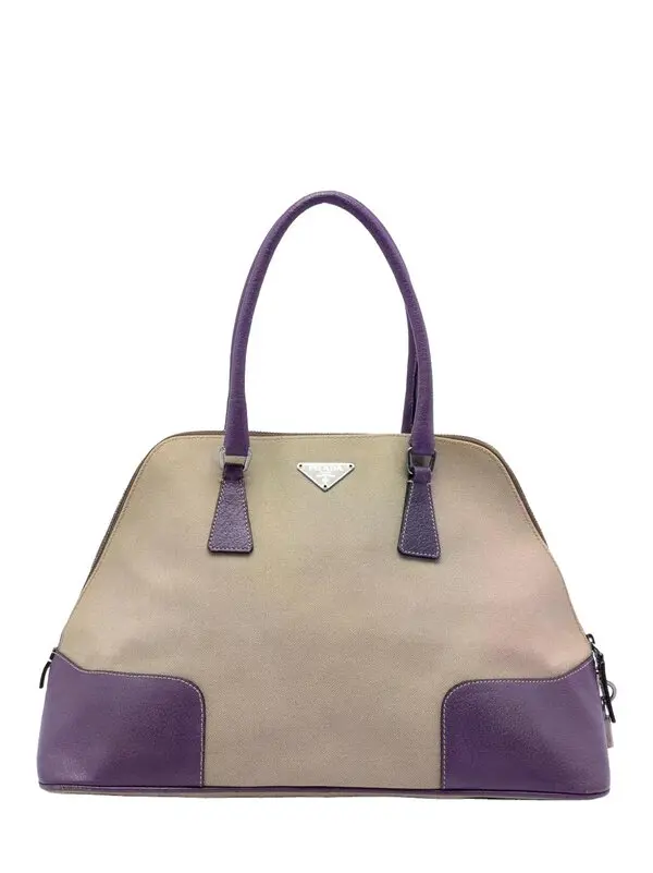 Prada Cinghiale Trimmed Canapa Dome Handbag - Purple