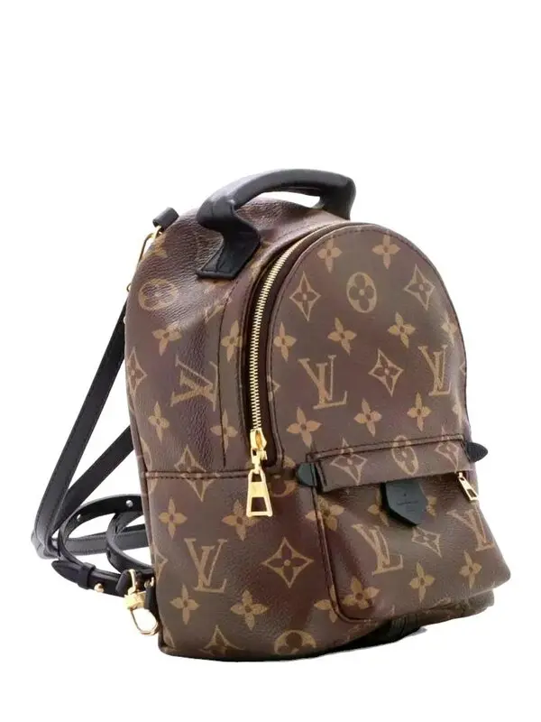 LOUIS VUITTON Palm Springs Monogram Canvas Mini Backpack - Brown