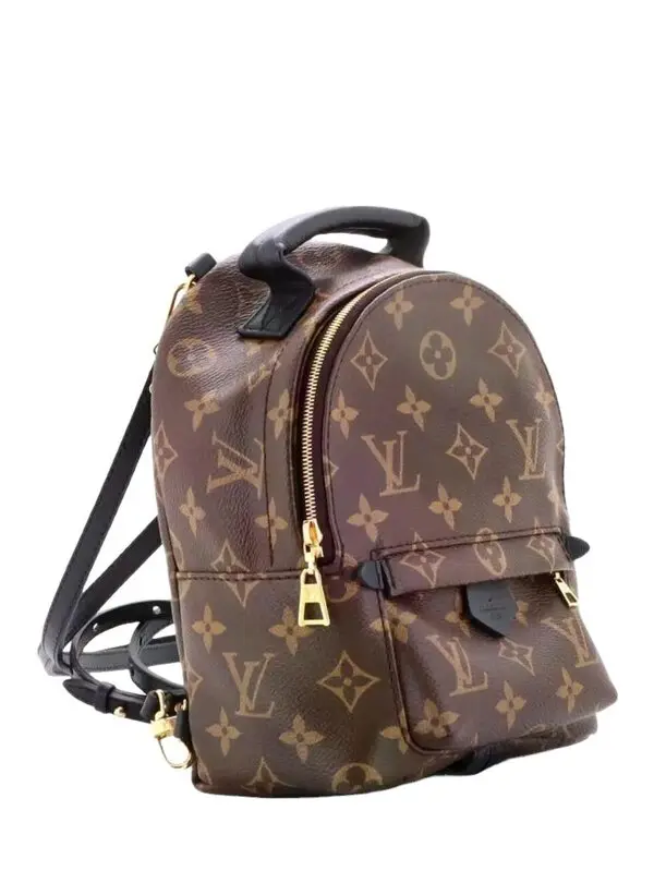 LOUIS VUITTON Palm Springs Monogram Canvas Mini Backpack - Brown