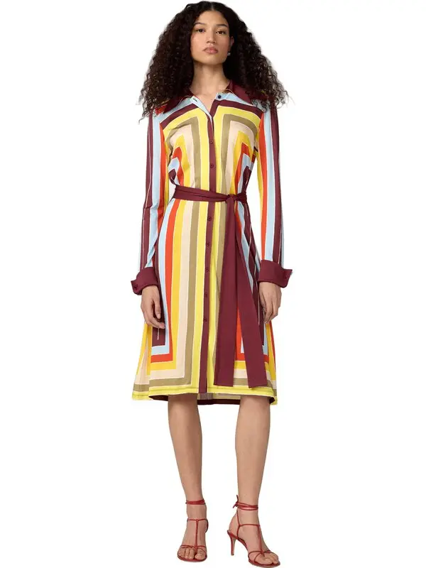 Diane Von Furstenberg Shirt Dress - Dorian Stripe Multi