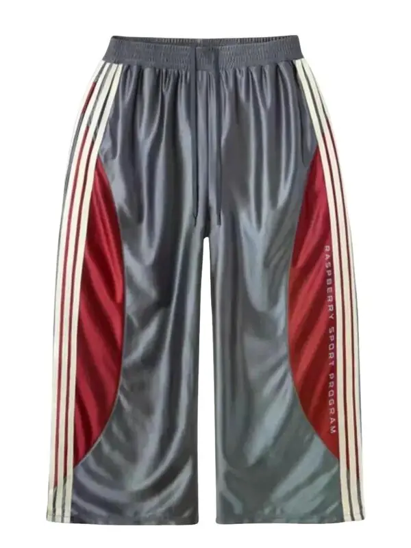 GV GALLERY Tracy Mcgrady Striped Track Pants - Grey