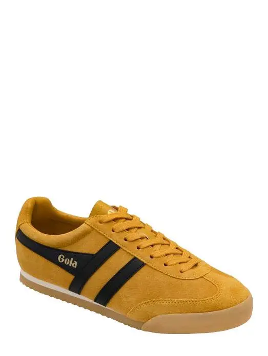 Gola Apollo Sneaker - Sun/black/gum