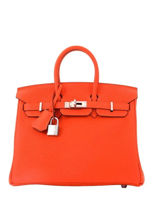Hermès Birkin 25 Handbag - Feu