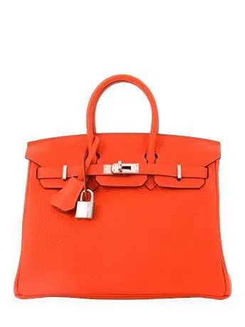Hermès Birkin Handbag Togo With Palladium Hardware 25 - Orange