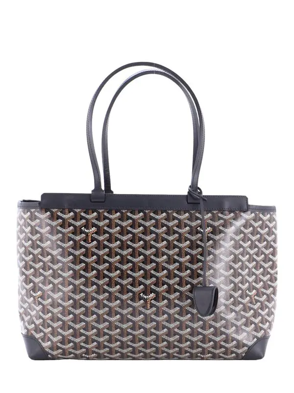 Goyard Bellechasse Bag Coated Canvas Pm - Black