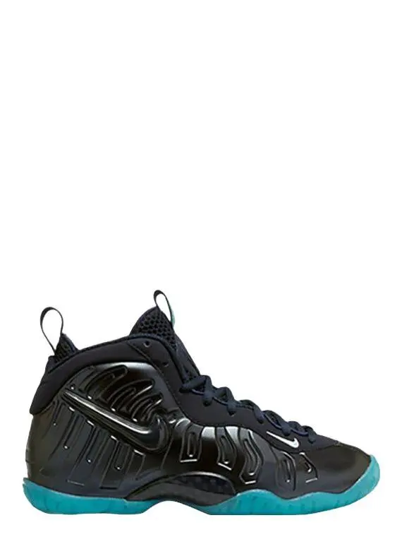 Nike Air Foamposite Pro Premium Le Bg - Blue