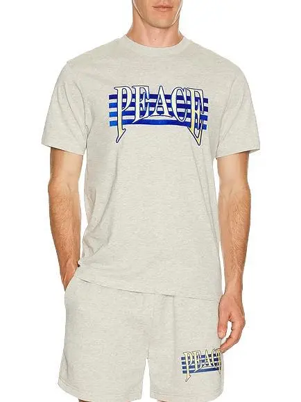 MUSEUM OF PEACE & QUIET Seventies T-shirt - Ash