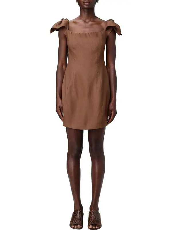 Elisabetta Franchi Off-the-shoulder Dress With Embellished Sleeves - Brown