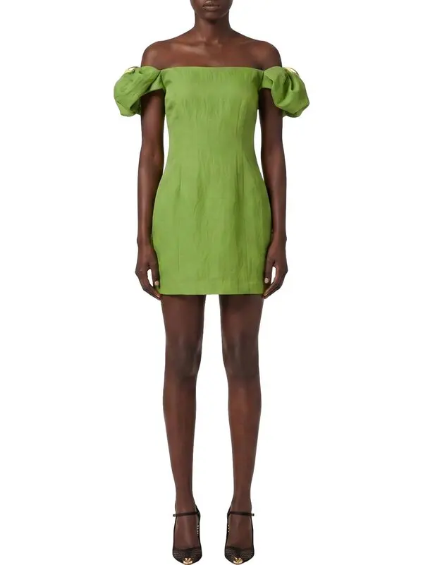 Elisabetta Franchi Off-the-shoulder Dress With Embellished Sleeves - Green