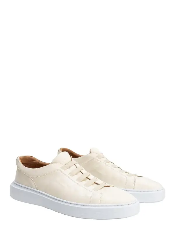 Robert Barakett Williams Stretch Lace Sneakers - Ivory