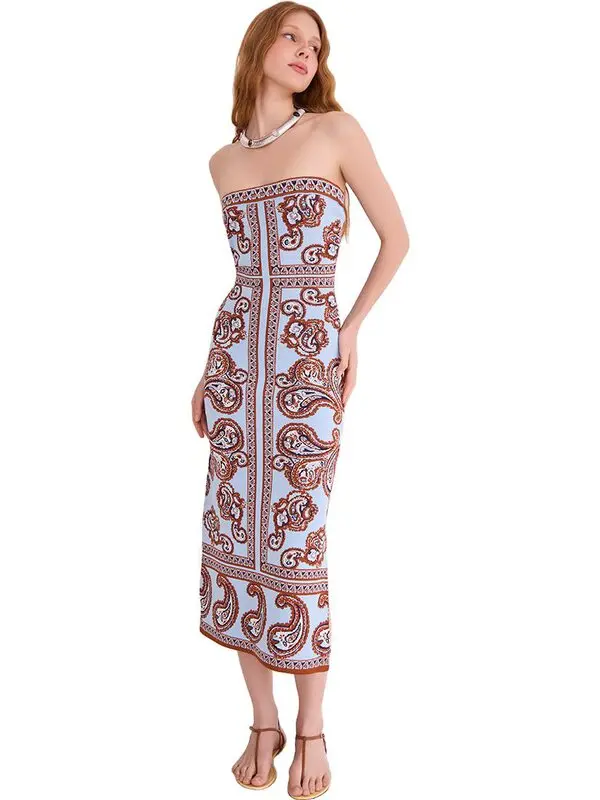 Cara Cara Tube Sheath Dress With Paisley Print - Sierra Paisley Sky
