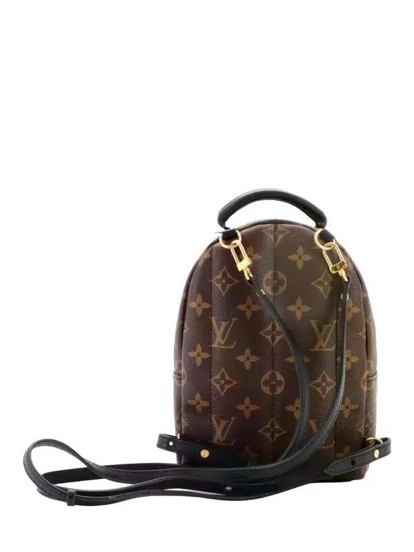 LOUIS VUITTON Palm Springs Mini Backpack Monogram Canvas - Brown
