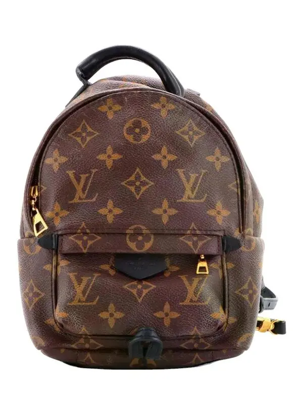 LOUIS VUITTON Palm Springs Monogram Canvas Mini Backpack - Brown