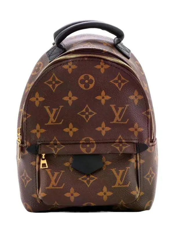LOUIS VUITTON Palm Springs Monogram Canvas Mini Backpack - Brown