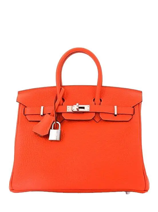 Hermès Birkin 25 Handbag - Feu