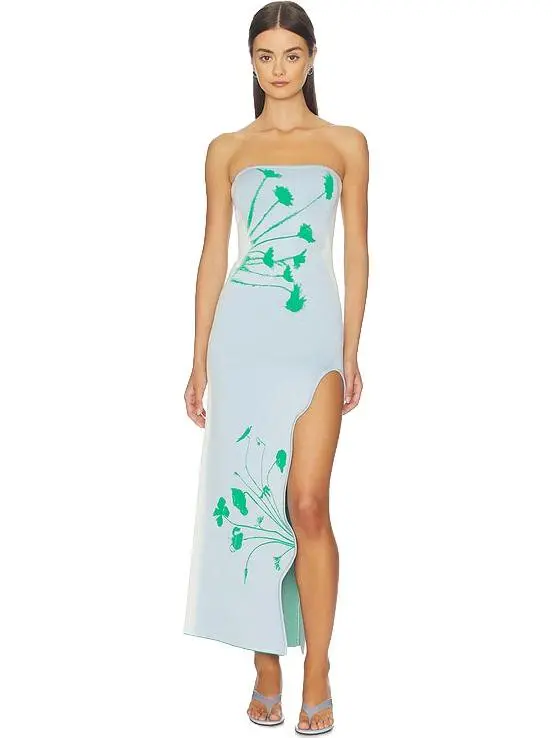 Ph5 Iris Flower Print Maxi Tank Dress - Aqua Green