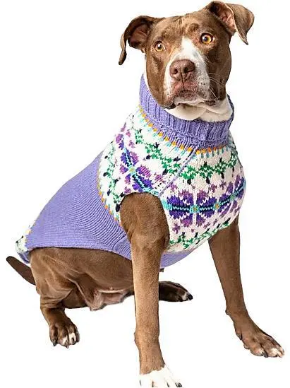 CHILLY DOG Flowers Dog Sweater - White