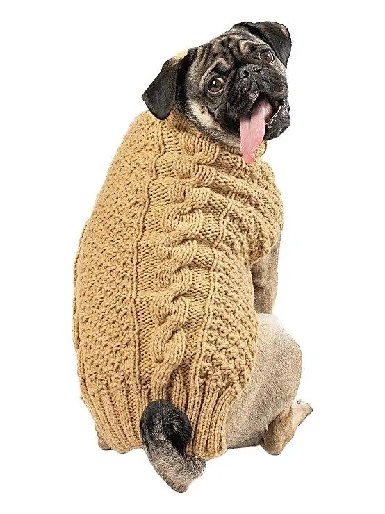 CHILLY DOG Alpaca Cable-knit Dog Sweater - Brown