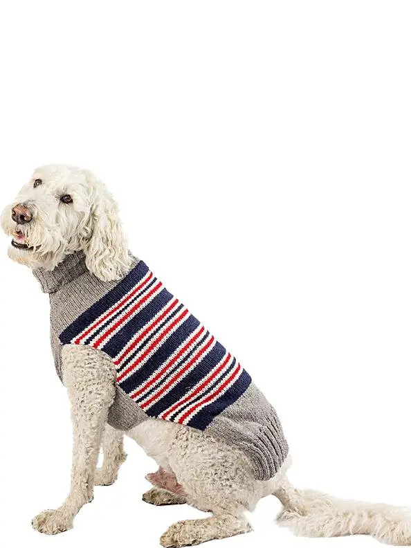 CHILLY DOG Charlie Stripe Dog Sweater - White