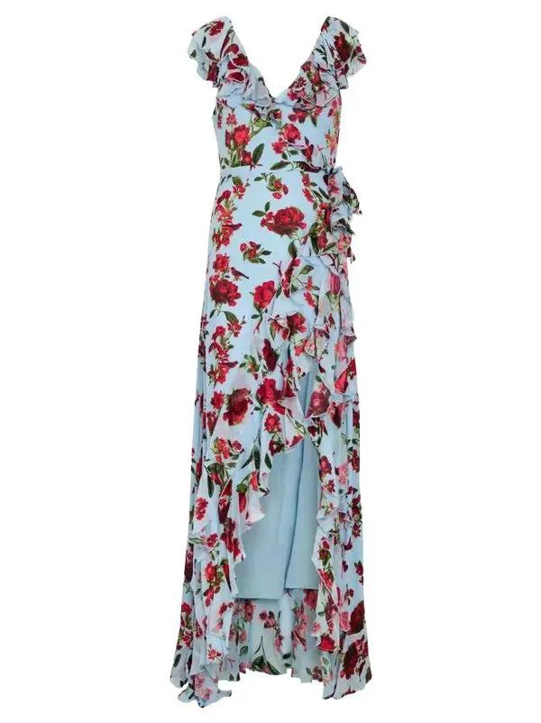 Alice + Olivia Kristen Floral-print Maxi Dress - Blue