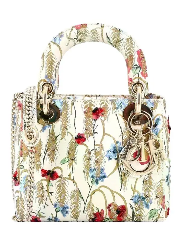 Dior Lady Chain Bag Embroidered Calfskin Mini Satchel - Multicolour