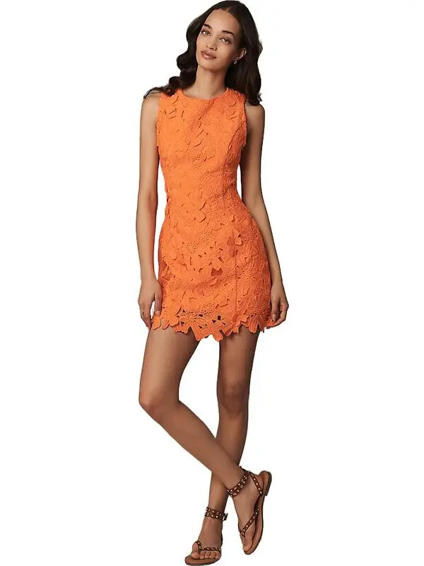 Endless Rose Floral Lace Mini Dress - Orange