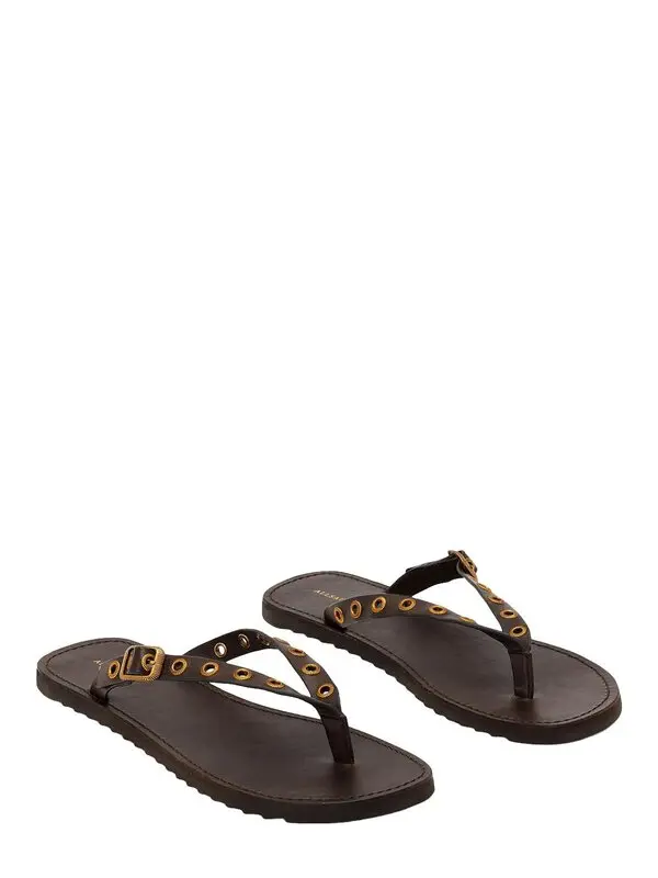 ALLSAINTS Sydney Eyelet Flip Flop - Dark Brown
