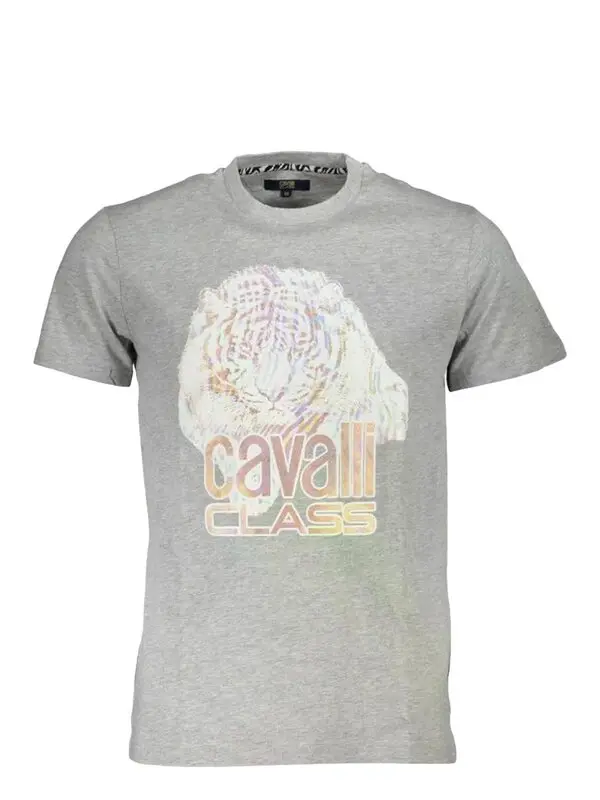 Roberto Cavalli Iridescent Tiger-print T-shirt - Grey