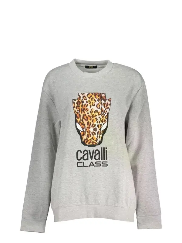 Roberto Cavalli Leopard-print Logo Sweatshirt - Grey