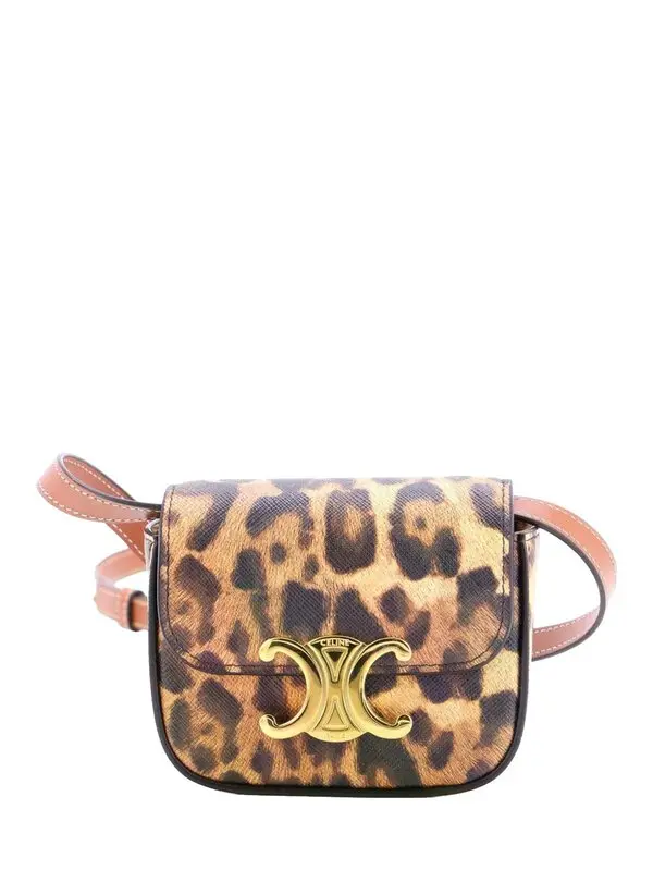 Celine Claude Printed Coated Canvas Mini Shoulder Bag - Multicolour