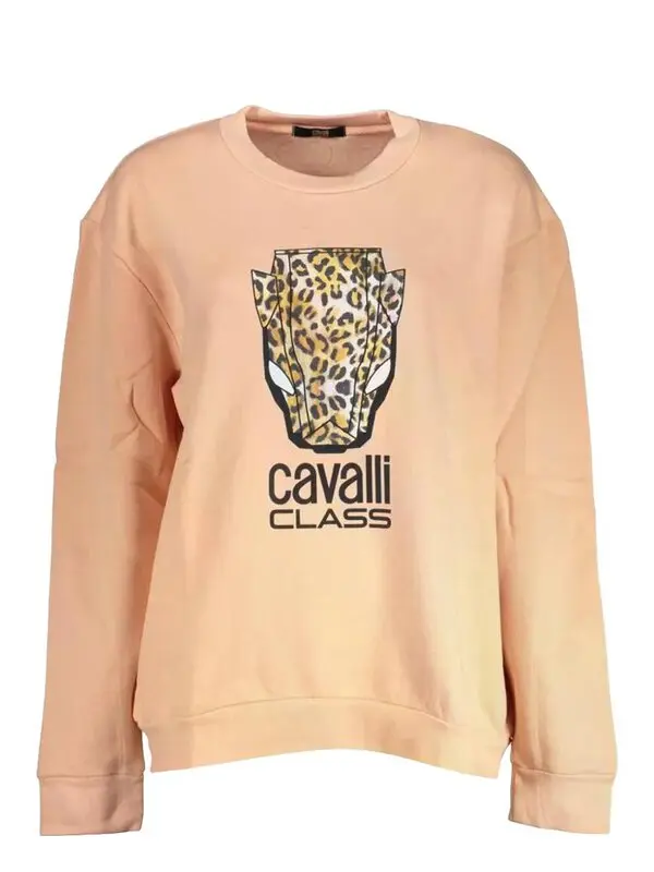 Roberto Cavalli Leopard-print Sweater - Neutrals