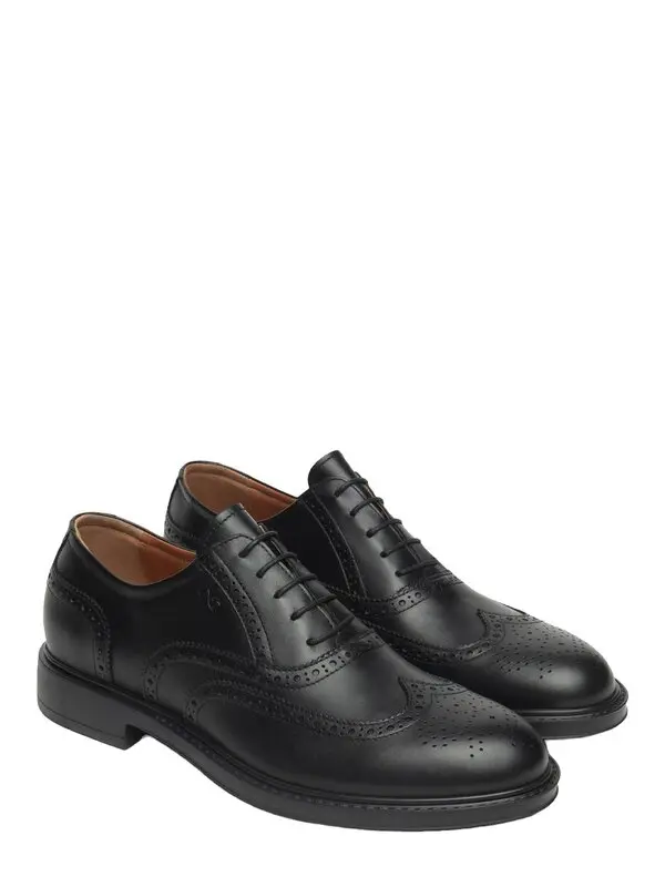 NEROGIARDINI Wingtip Oxford - Black
