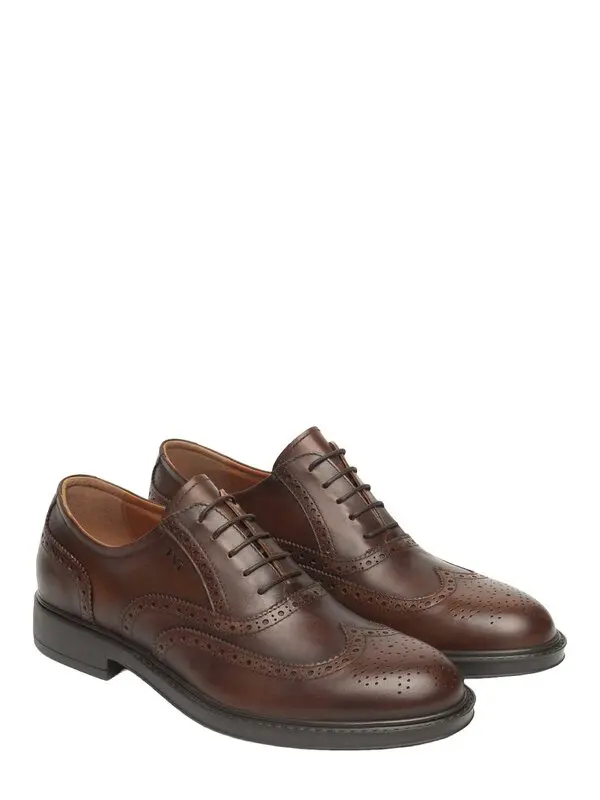 NEROGIARDINI Wingtip Oxford - Brown