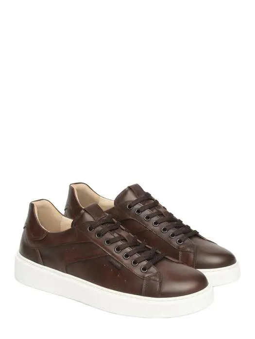 NEROGIARDINI Low Top Sneaker - Chocolate