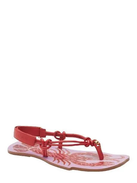 Farm Rio Lobster Slingback Sandal - Scarlet And Lilac