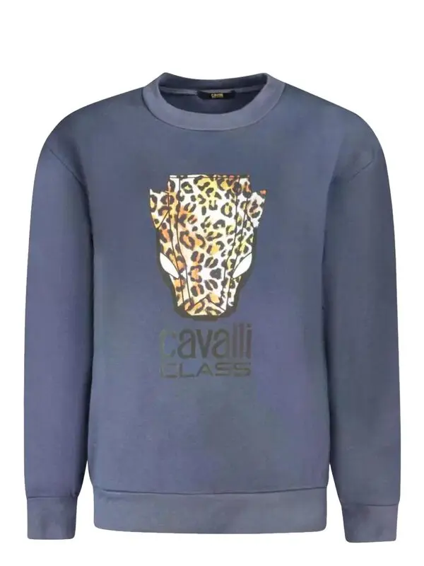 Roberto Cavalli Leopard-print Sweater - Blue