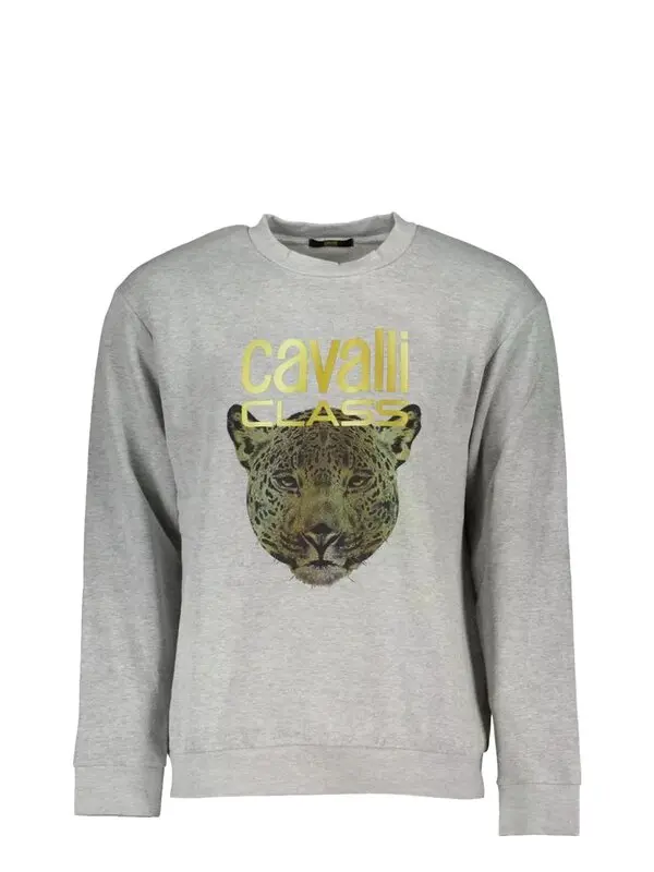 Roberto Cavalli Jaguar-print Sweatshirt - Grey