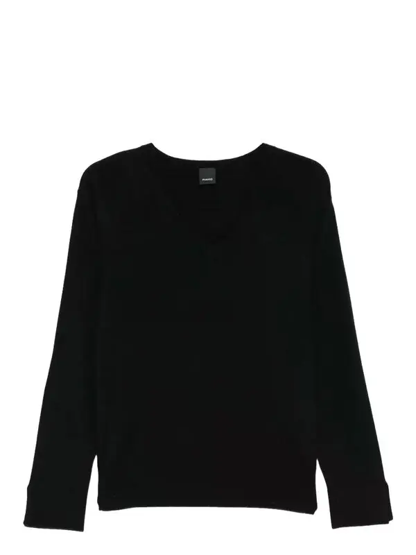 Pinko Spesso V-neck Sweater - Black