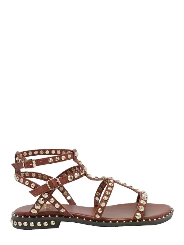 Ash Stud-embellished Sandals - Brown